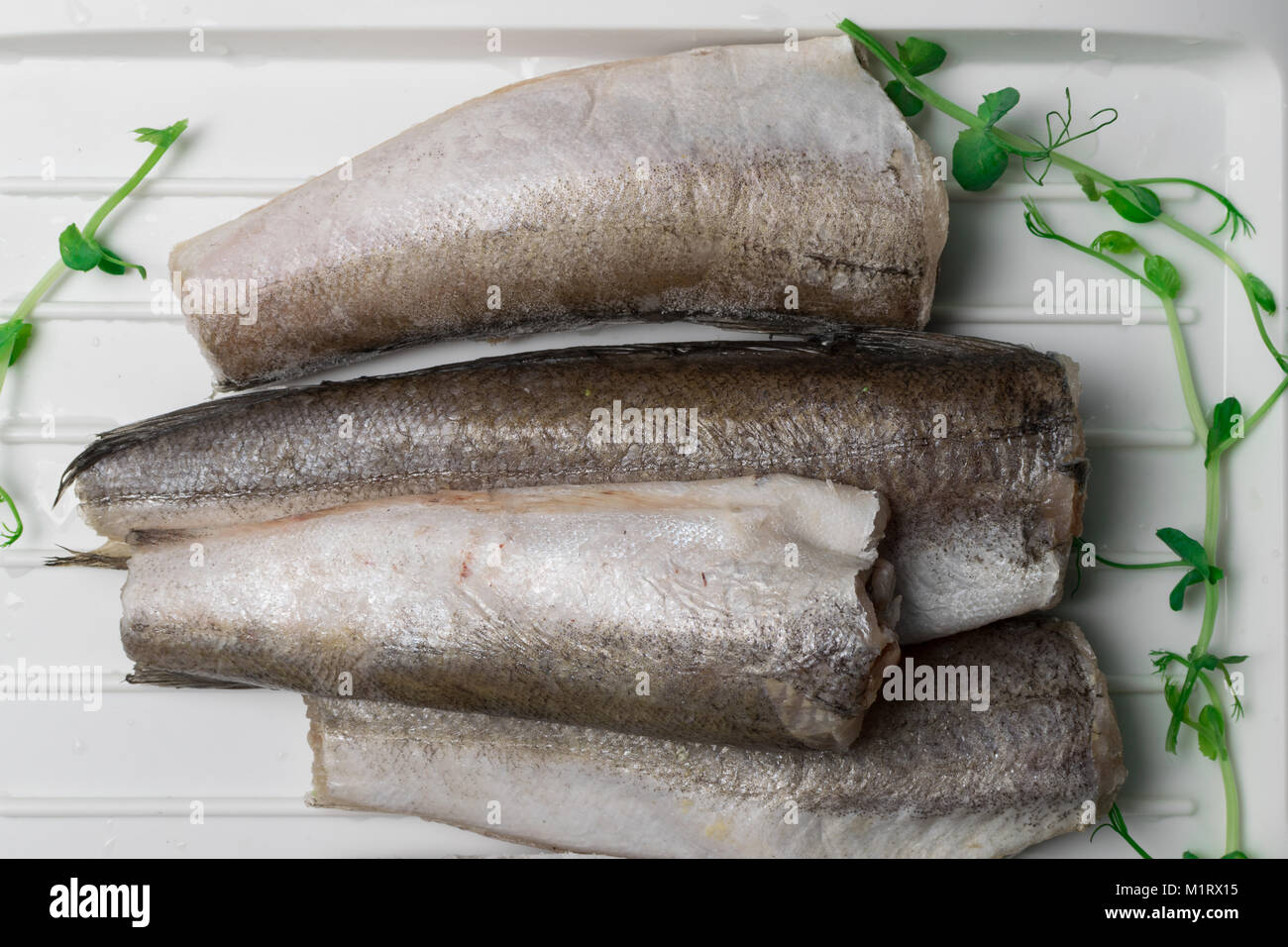 a lot of frozen fresh hake fish with greens Stock Photo - Alamy