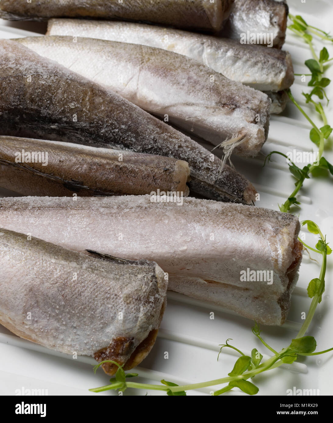 a lot of frozen fresh hake fish with greens Stock Photo - Alamy