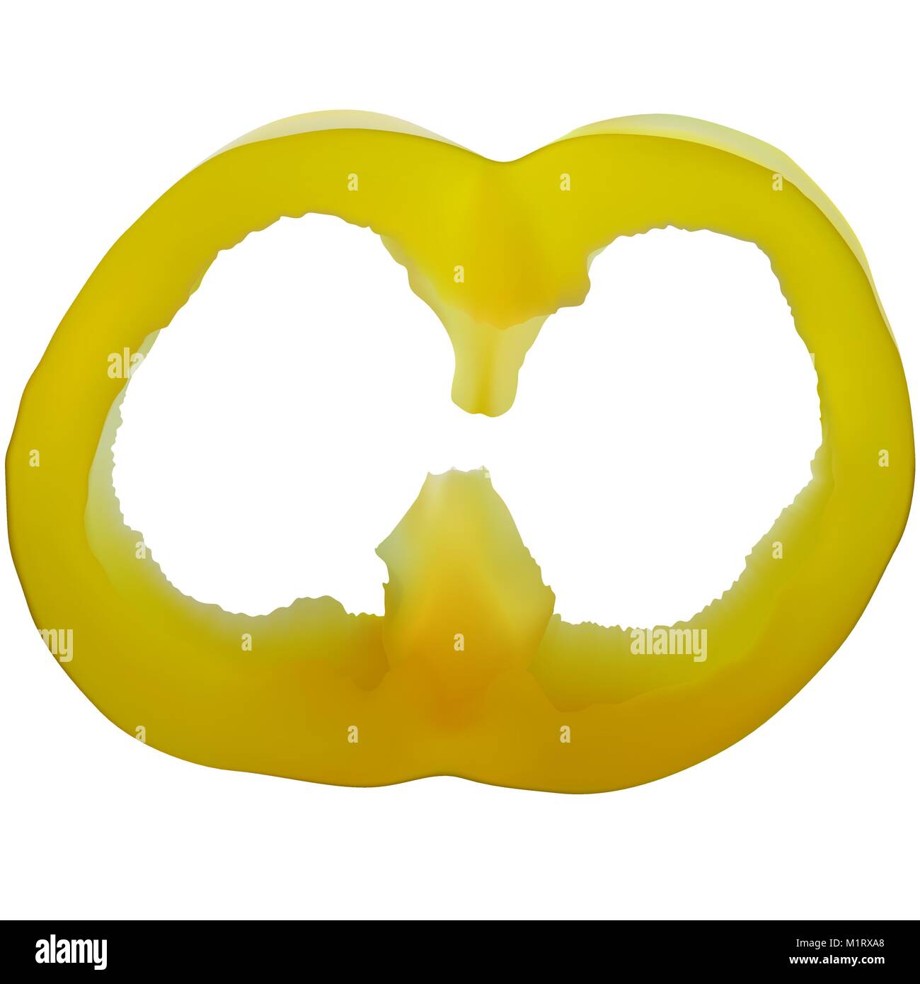 Yellow Bell Pepper Slice Stock Vector Image & Art - Alamy