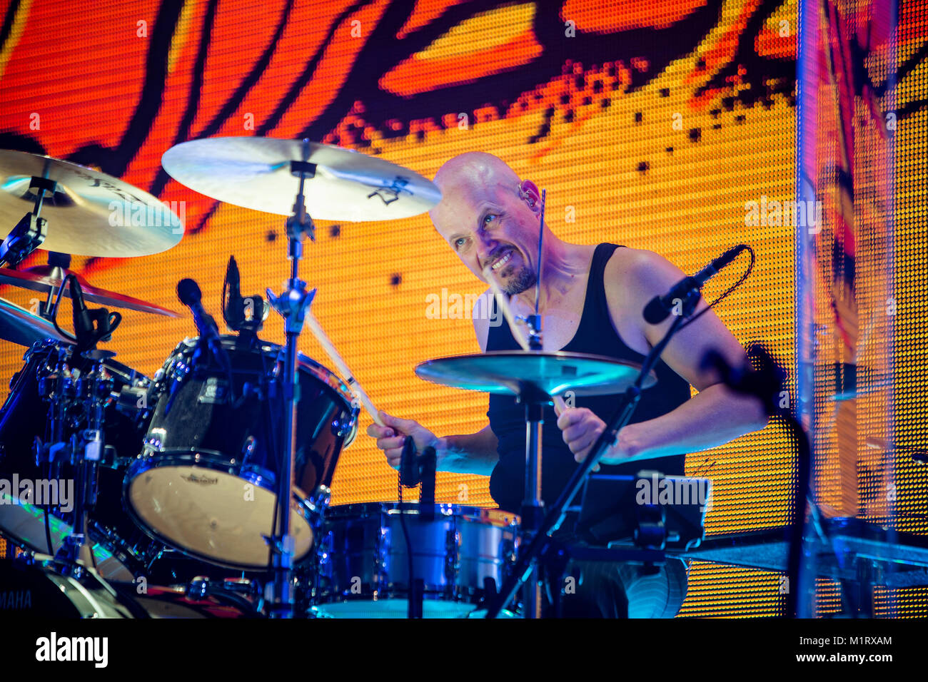 Lars erik hi-res stock photography and images - Alamy