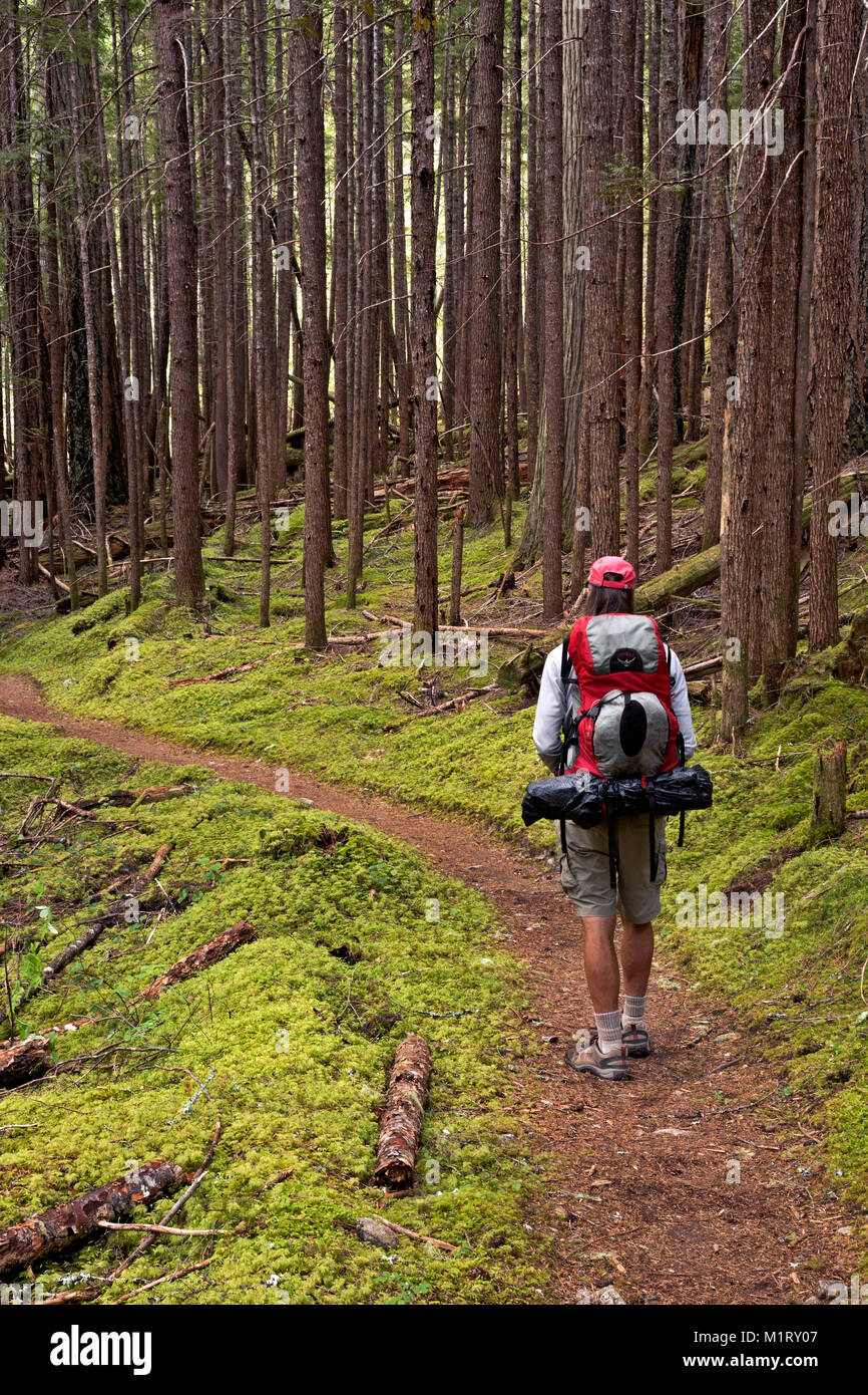 Moss Lake Trail High Resolution Stock Photography and Images - Alamy