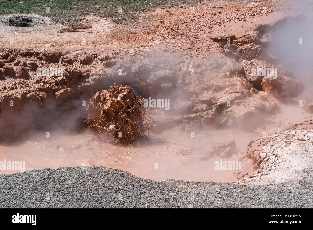 Ocher colored mud splatters everything as super heated geyser fed water ...