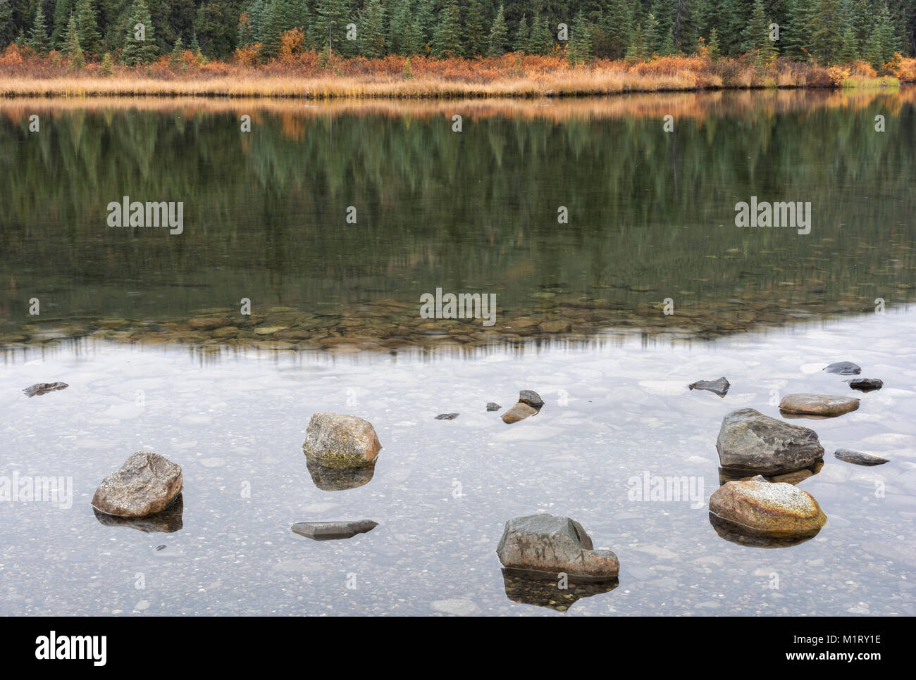 A still pond in Denali National Park provides an excellent mirror to ...
