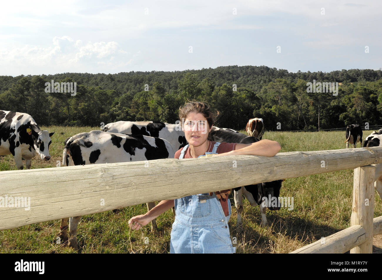portrait of a farmer with her cows in the field Stock Photo - Alamy