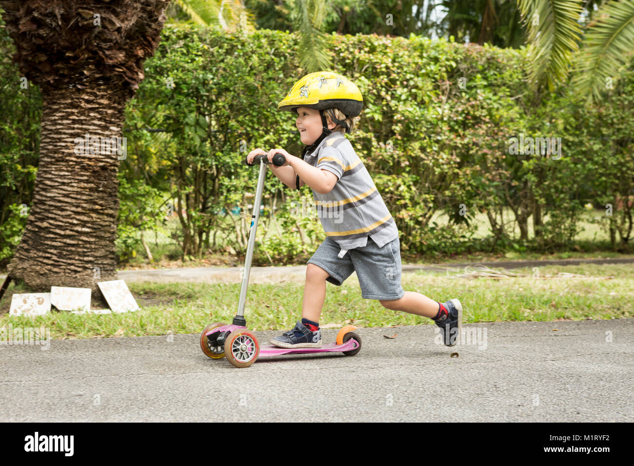 Little boy riding scooter on suburban street Stock Photo - Alamy