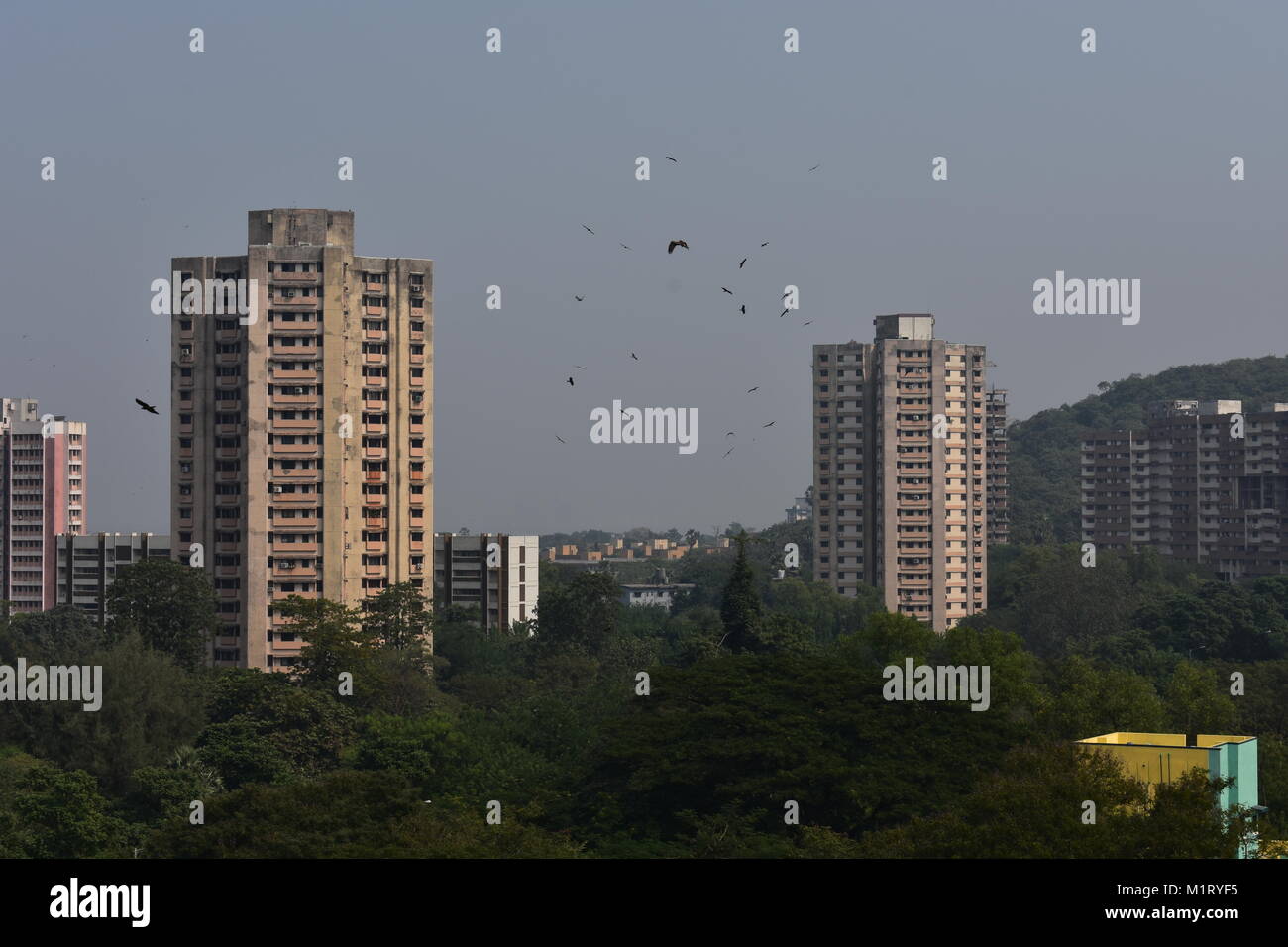 Awesome looking of a lot of birds flying in near a building tower Stock ...