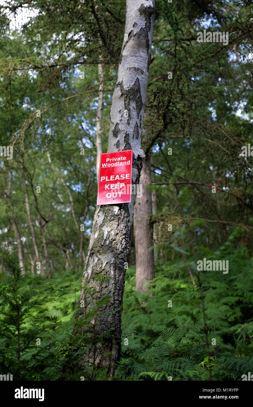 Sign on tree Stock Photo - Alamy