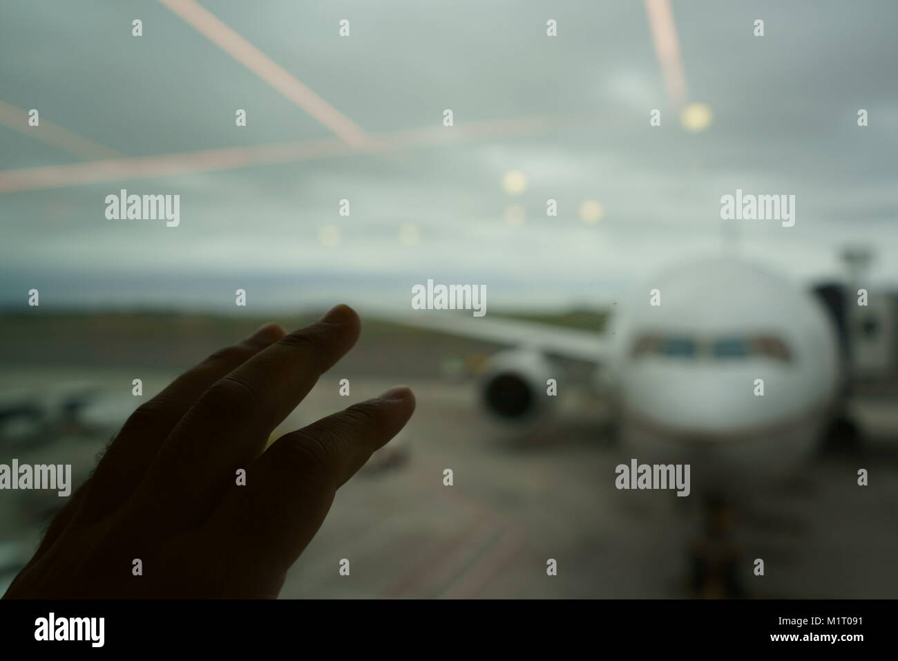 Yearning for flight hi-res stock photography and images - Alamy