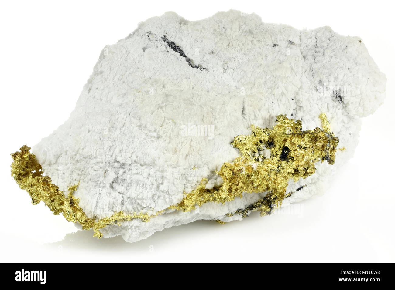 crystalline gold on quartz from Jamestown, California isolated on white ...