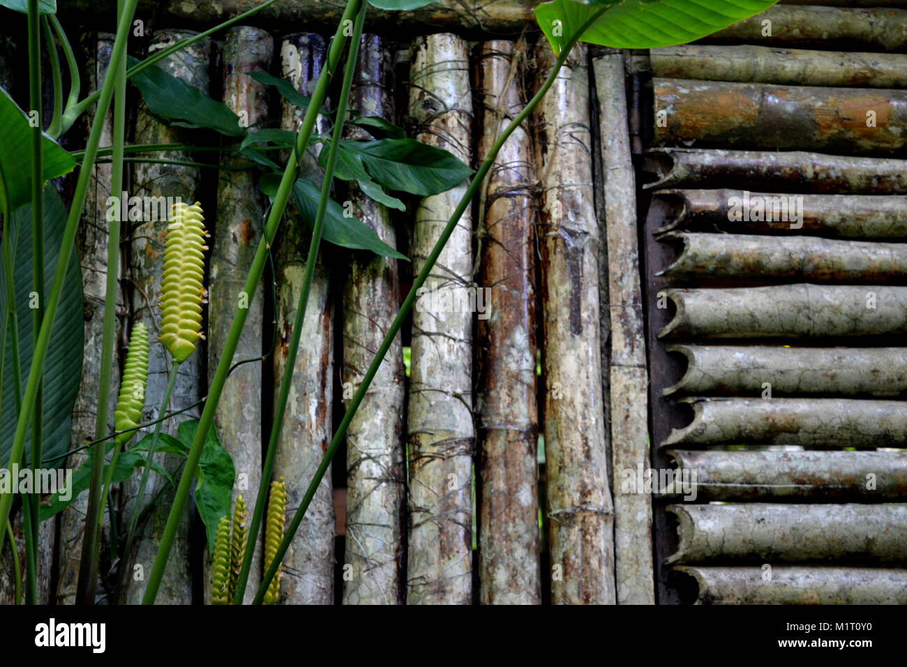 Bamboo structure hi-res stock photography and images - Alamy