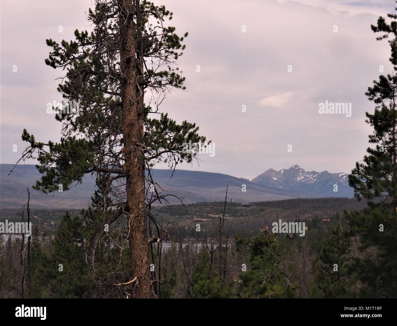 Rocky Mountain National Forest, Grand Lake, CO - National park mountain ...