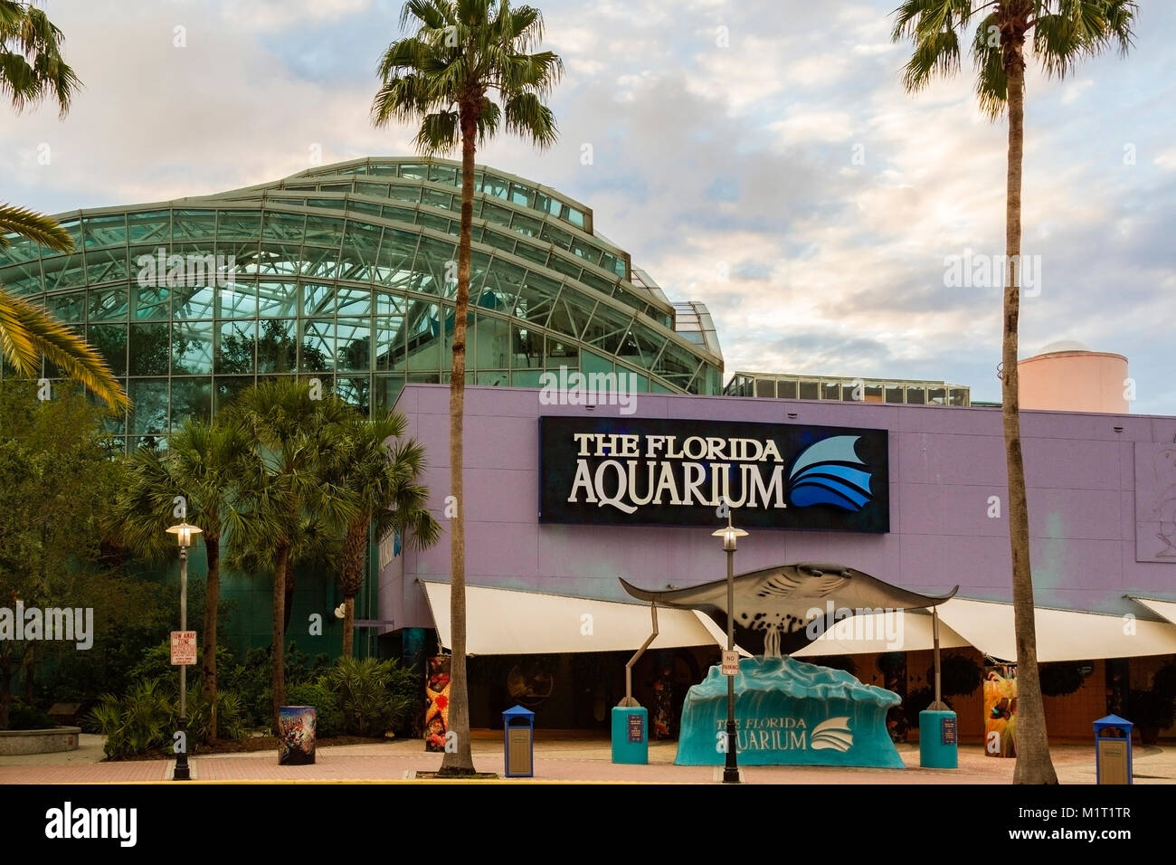 Tampa florida aquarium hi-res stock photography and images - Alamy