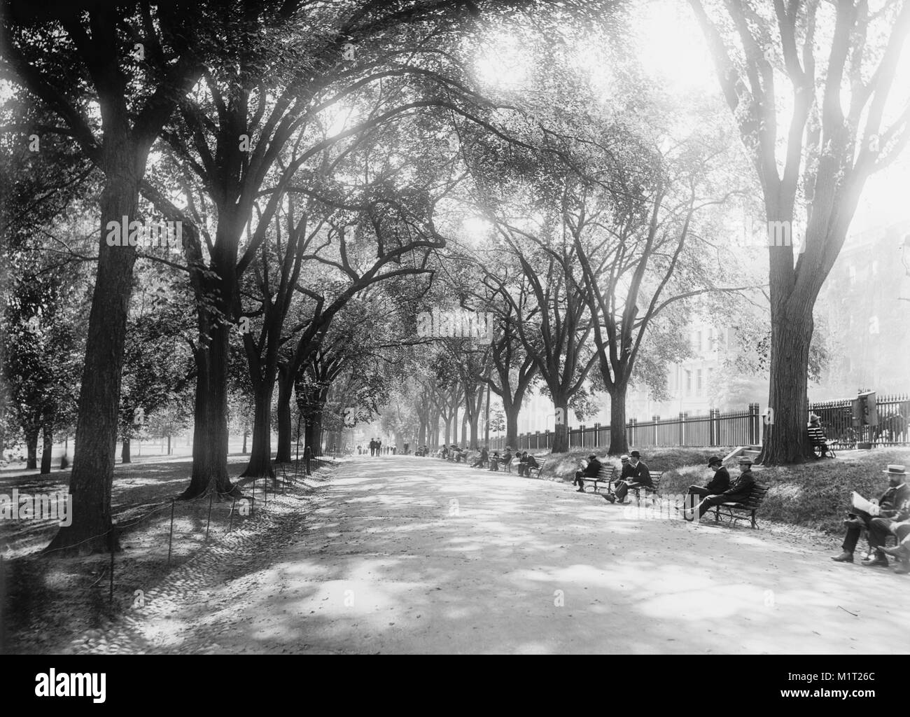 Beacon Street Mall, Boston, Massachusetts, USA, Detroit Publishing ...