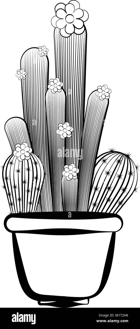 Sketch of a cactus Stock Vector Image & Art - Alamy