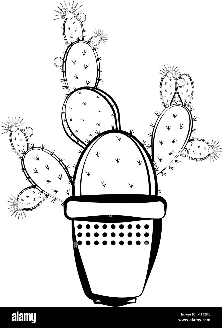 Sketch of a cactus Stock Vector Image & Art - Alamy