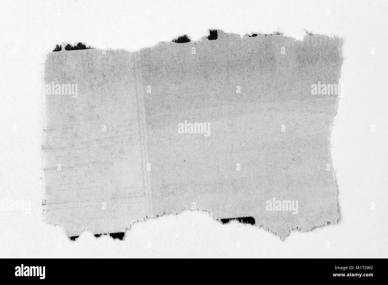 Piece of torn paper on plain background Stock Photo - Alamy