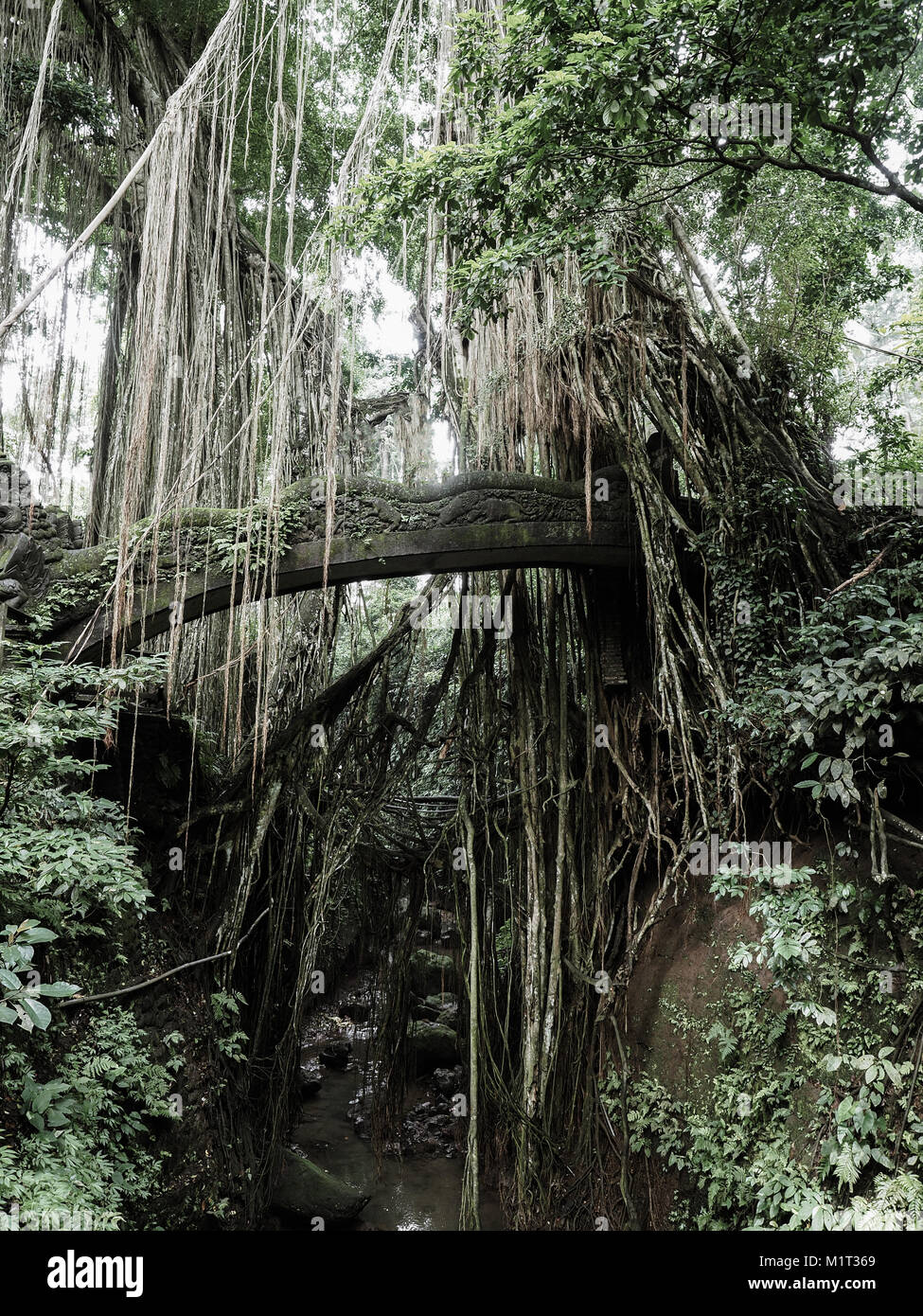Ubud Monkey Forest is nature reserve and Hindu temple complex in Ubud ...