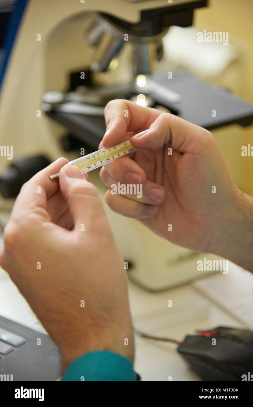 Checking body temperature with a thermometer Stock Photo - Alamy