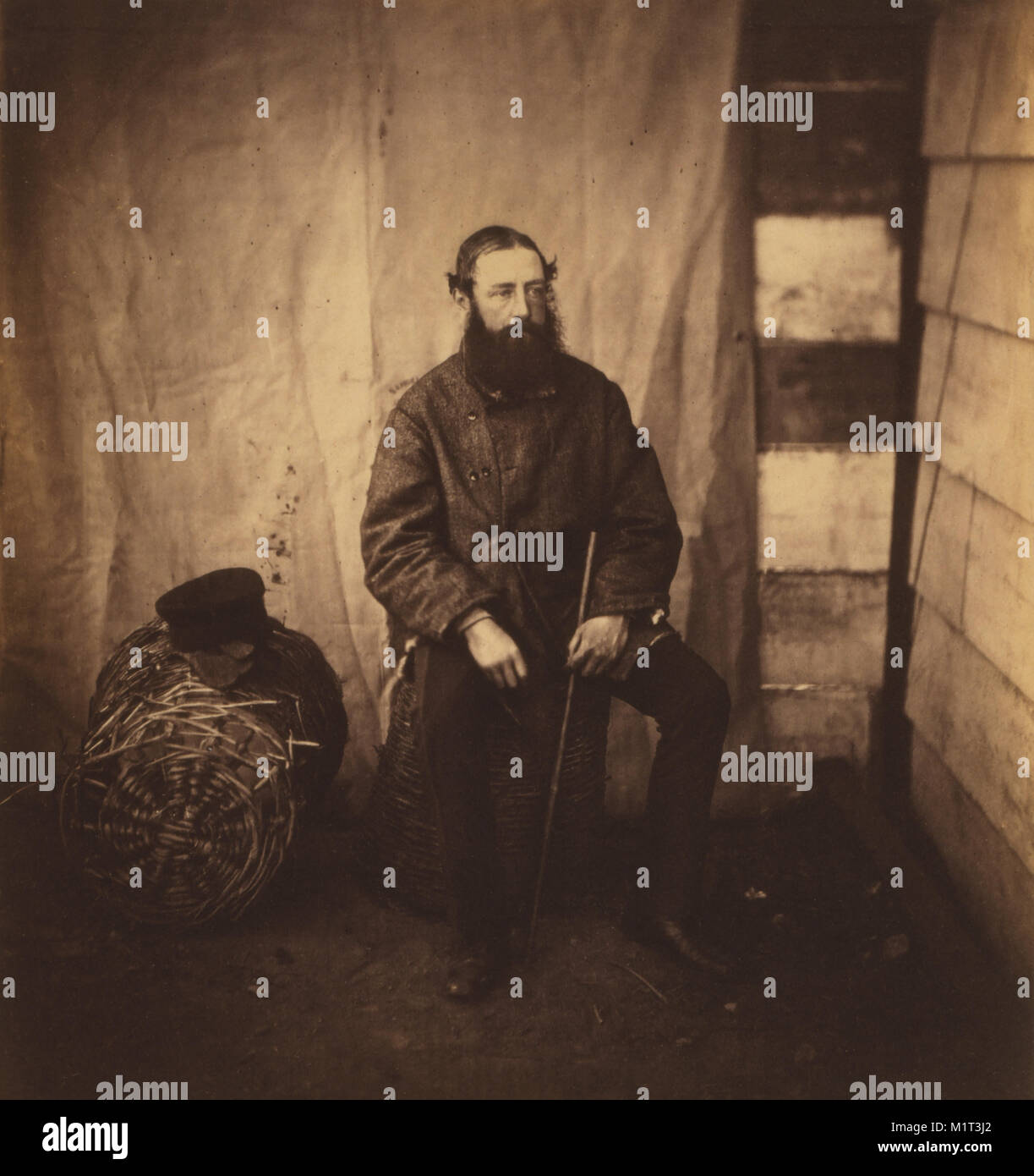 James J.M. Wardrop, British Grenadier Guards, Full-Length Seated ...