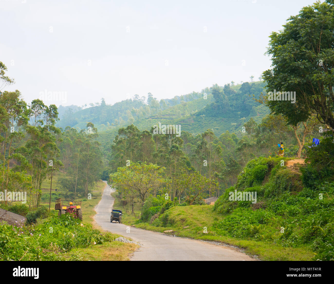 The countryside of Munnar, Kerala, India Stock Photo - Alamy