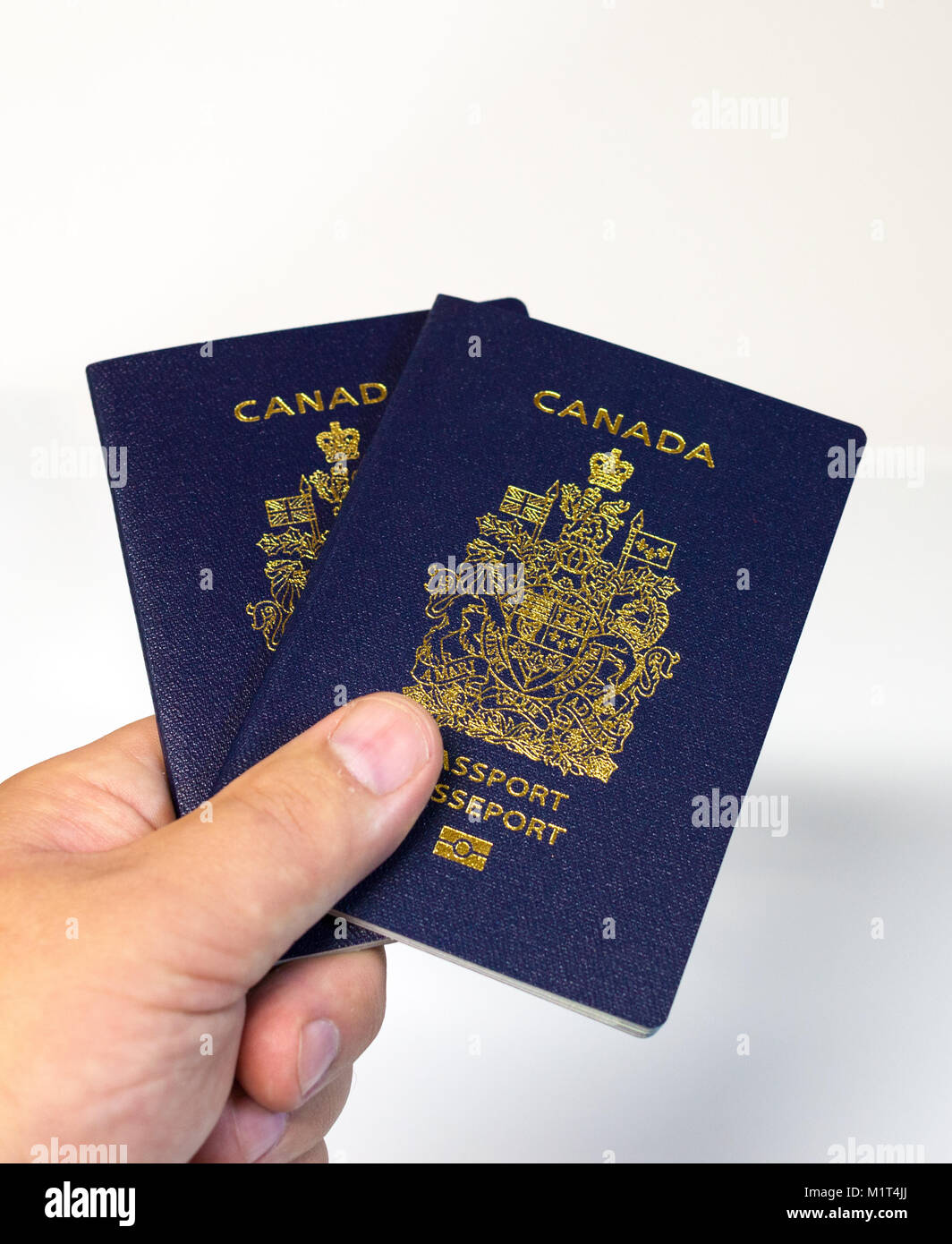 a hand holding two new Canadian passports Stock Photo - Alamy
