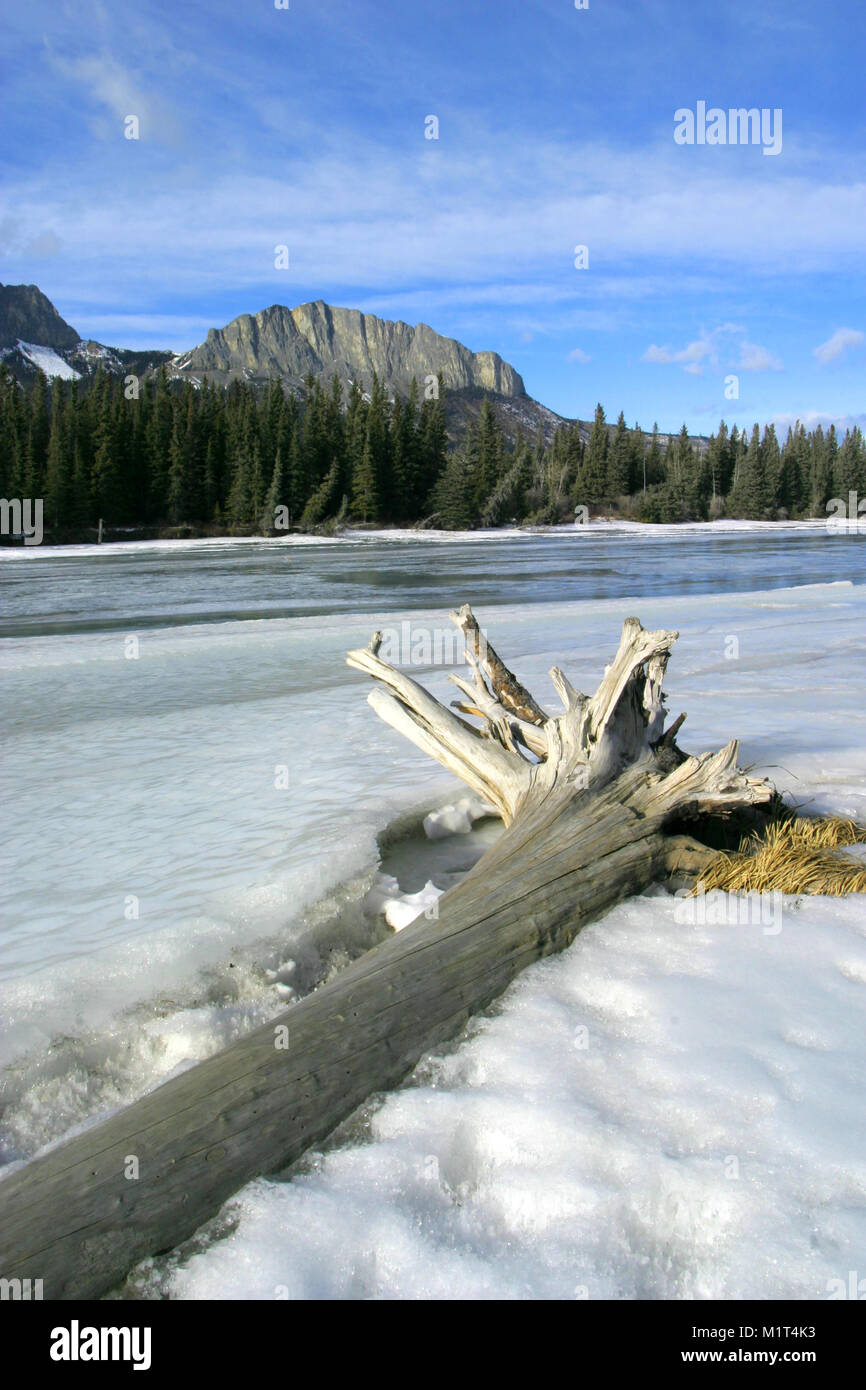 Yamnuska hi-res stock photography and images - Alamy