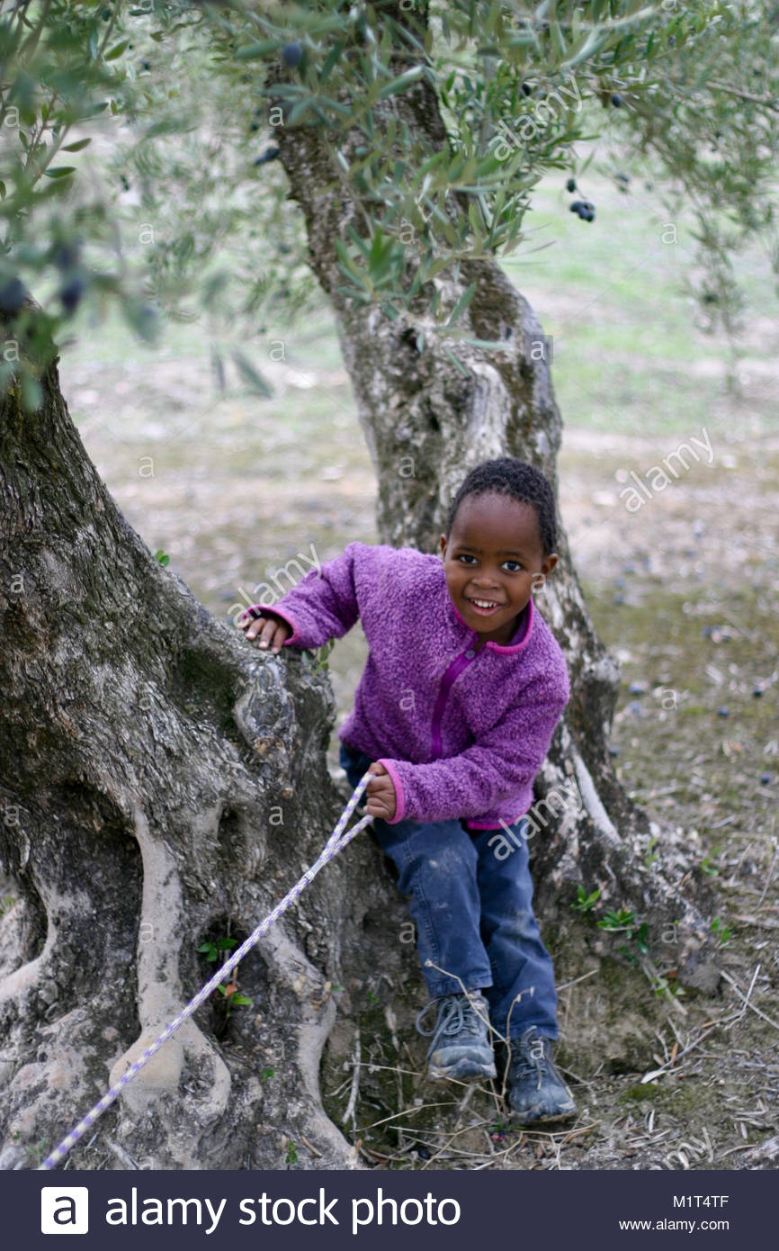 Boy Leaning Against Tree Stock Photos & Boy Leaning Against Tree Stock ...