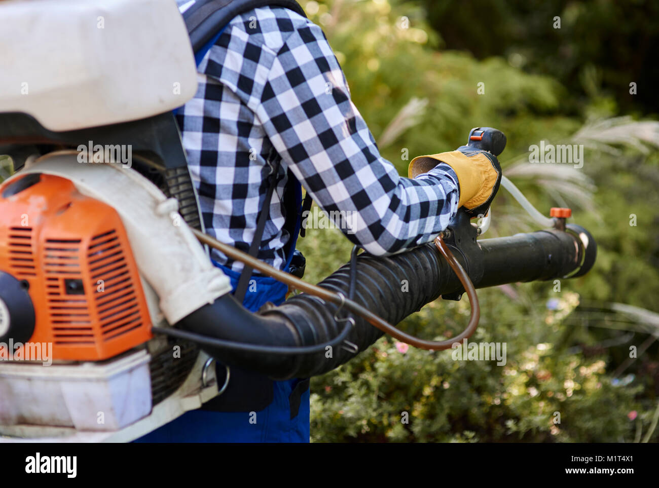 Leaf blower face hi-res stock photography and images - Alamy