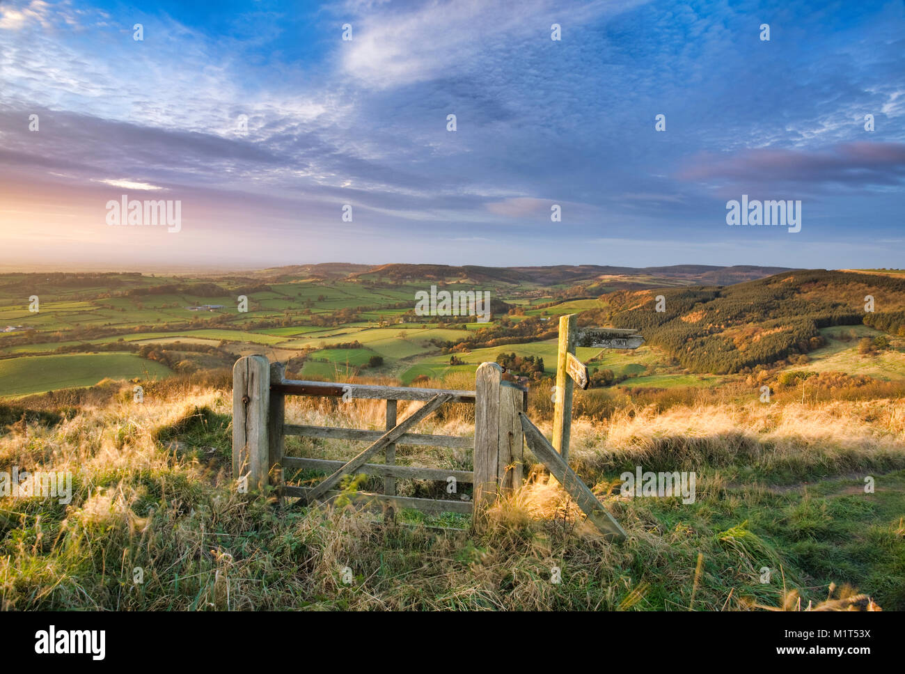 Sneck High Resolution Stock Photography and Images - Alamy