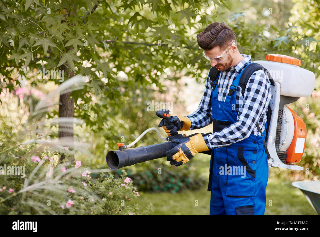 Gardener using modern gardening equipment Stock Photo - Alamy
