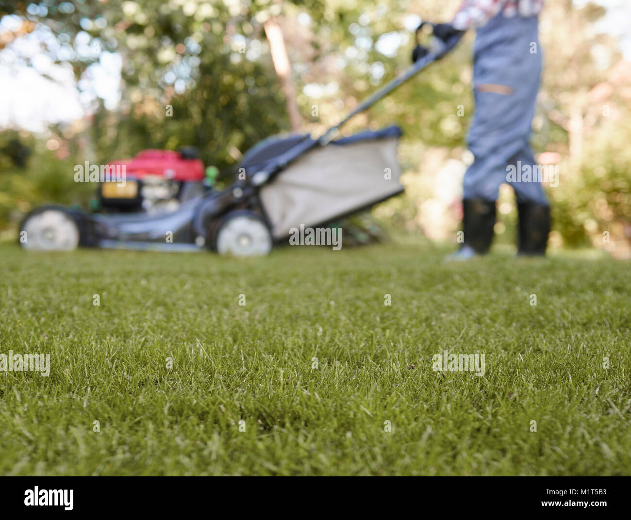 Defocused gardener pushing lawn mower Stock Photo - Alamy