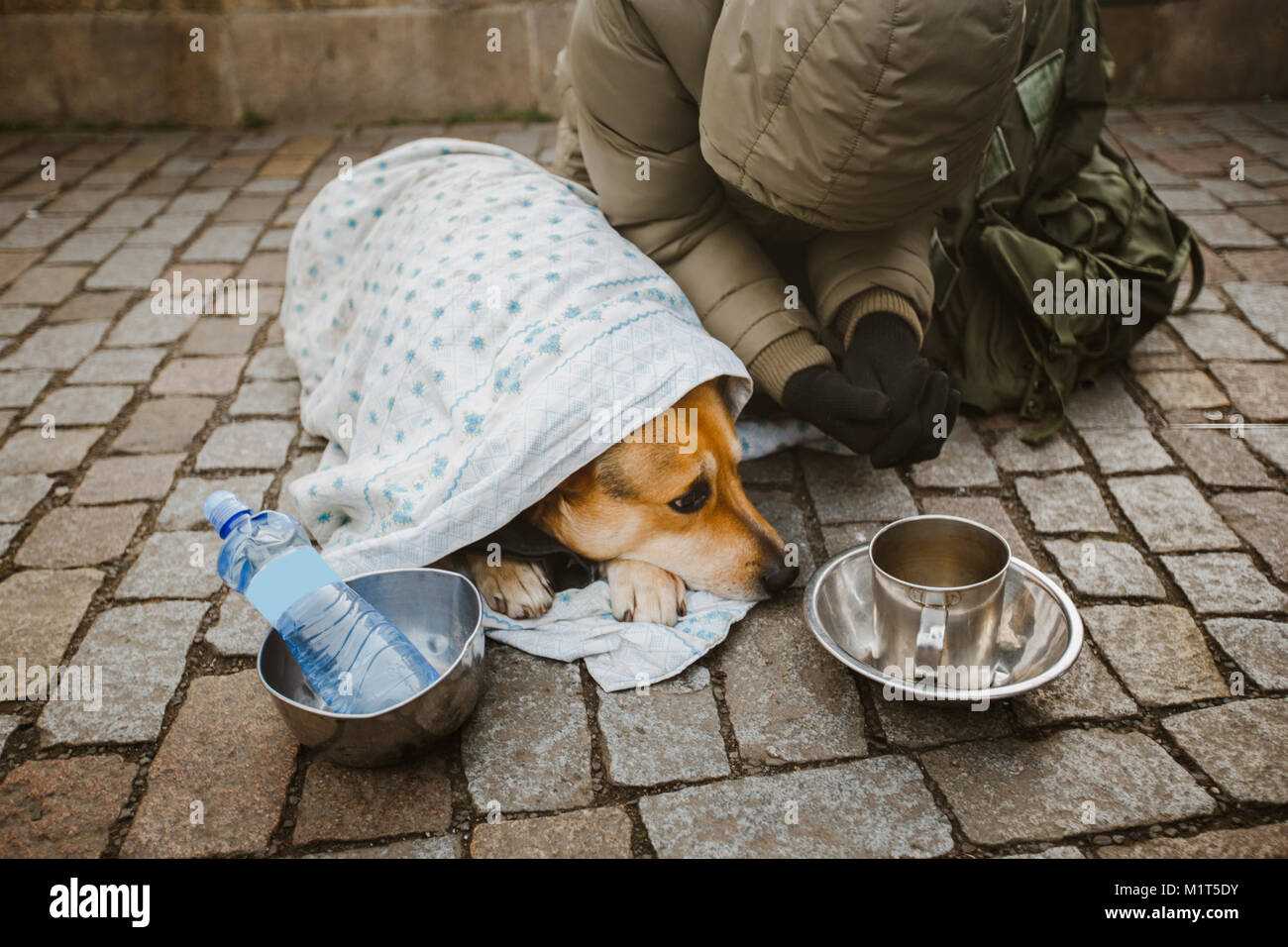 Homeless begging in prague hi-res stock photography and images - Alamy