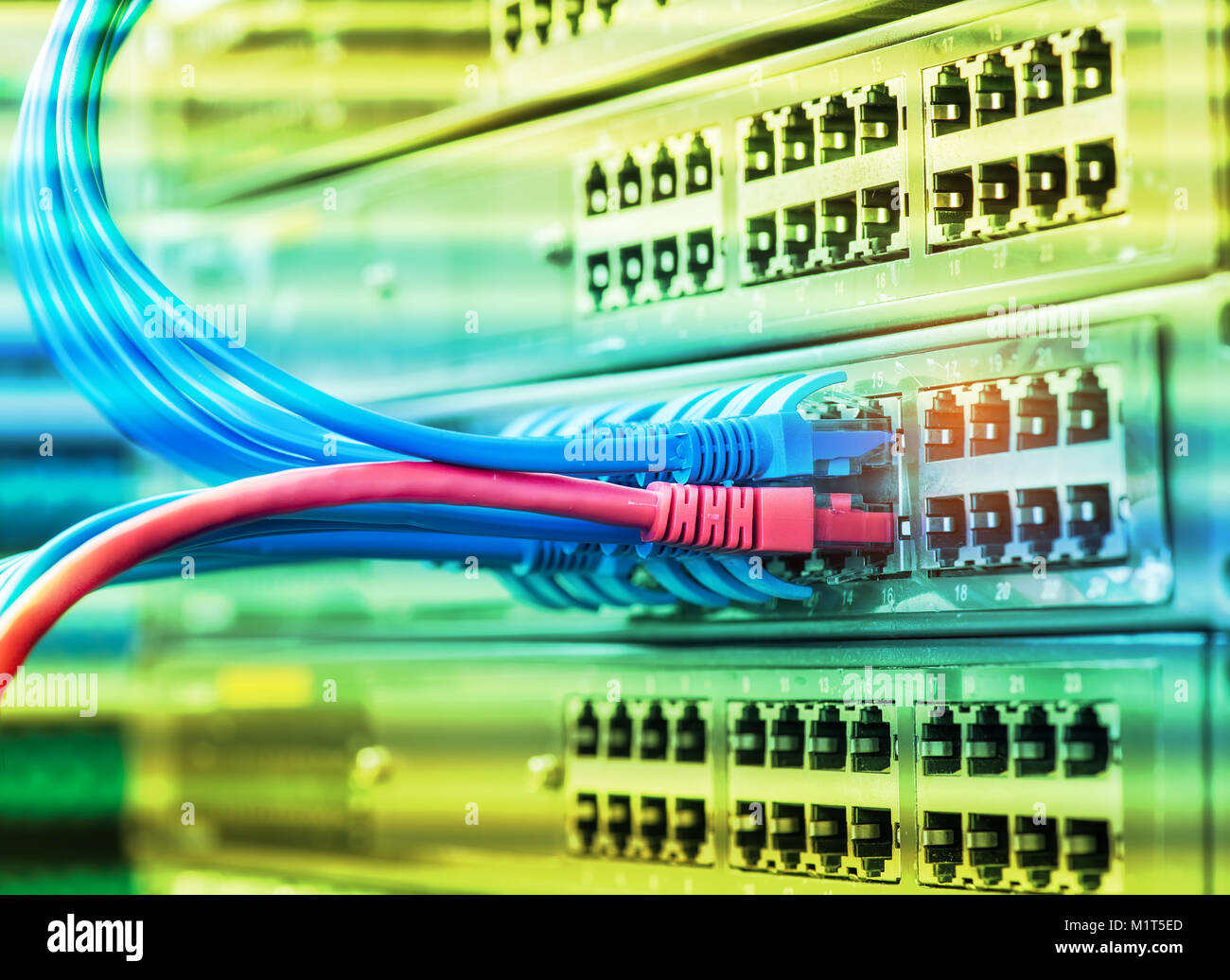 ethernet cable on network switches background Stock Photo - Alamy