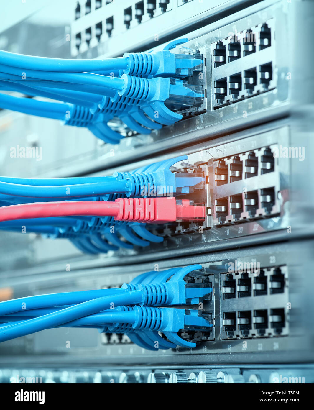 ethernet cable on network switches background Stock Photo - Alamy