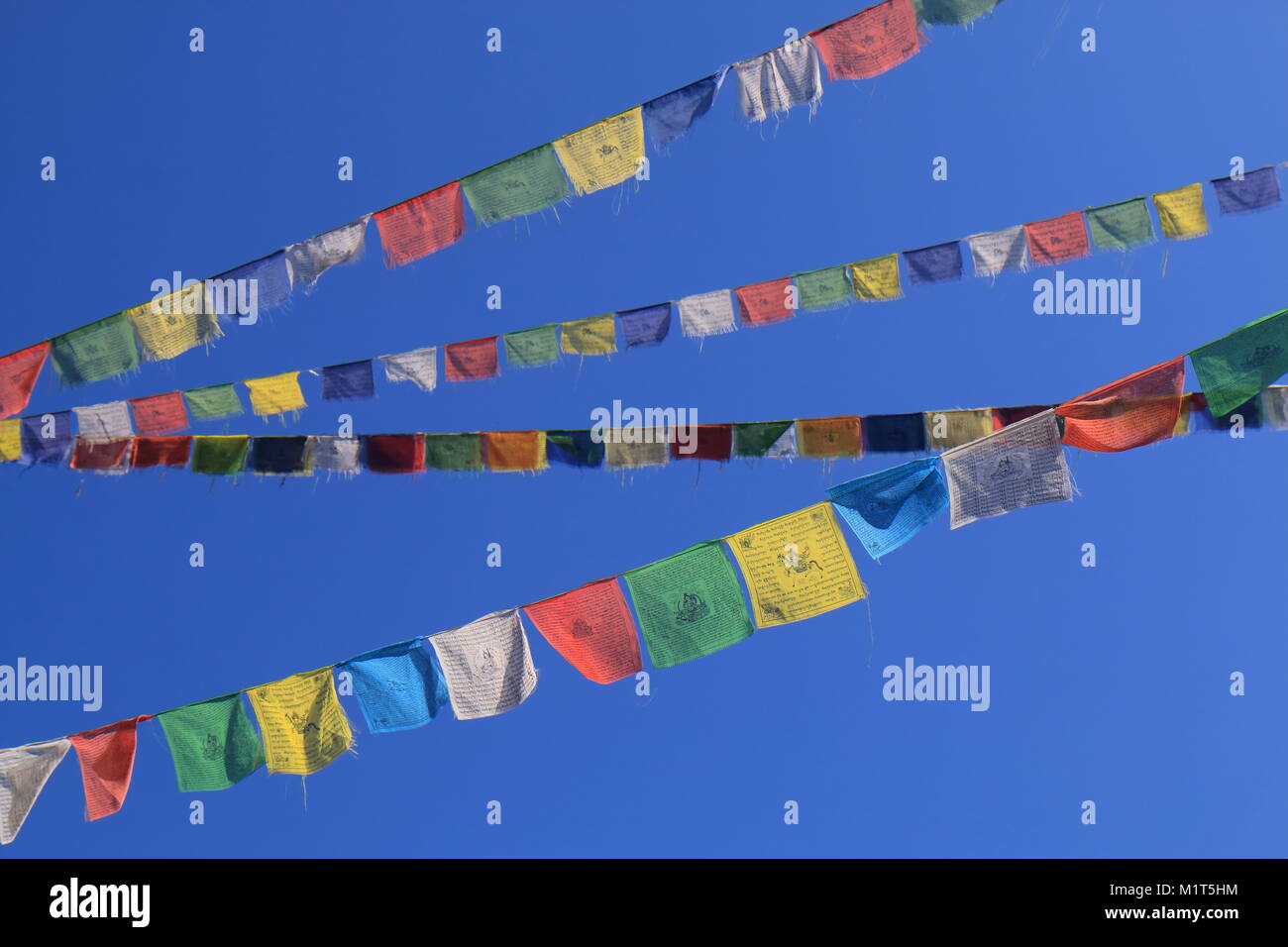 Tibetan monastery flag Pokhara Nepal Stock Photo - Alamy