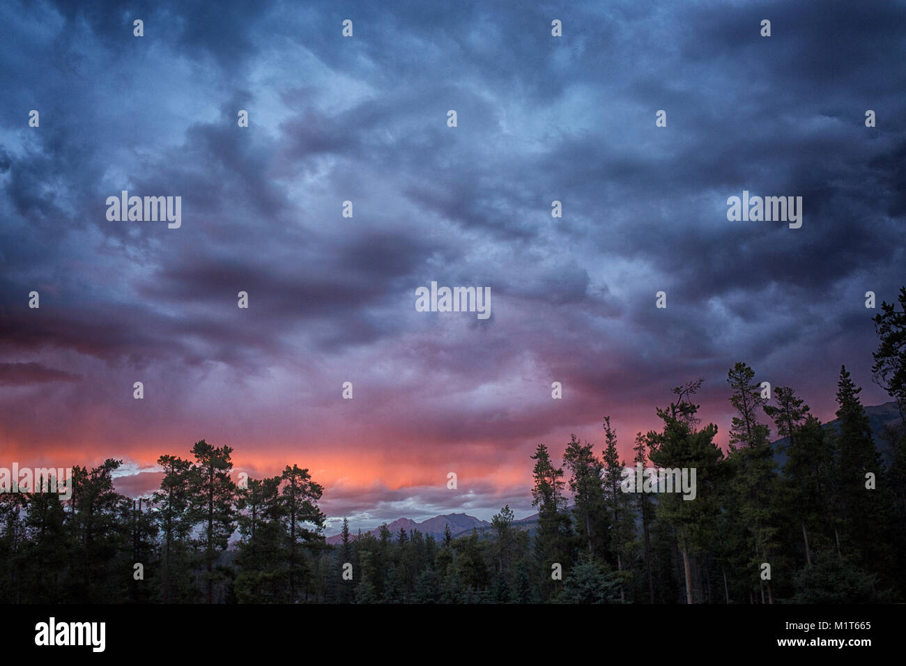 Pink and purple houses hi-res stock photography and images - Alamy