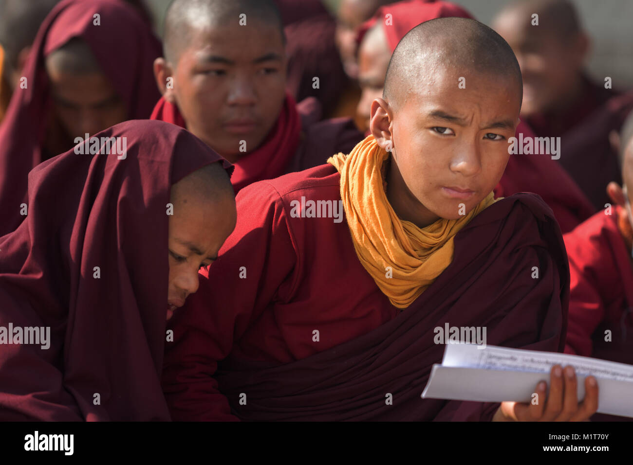 Monk in temple nepal hi-res stock photography and images - Alamy