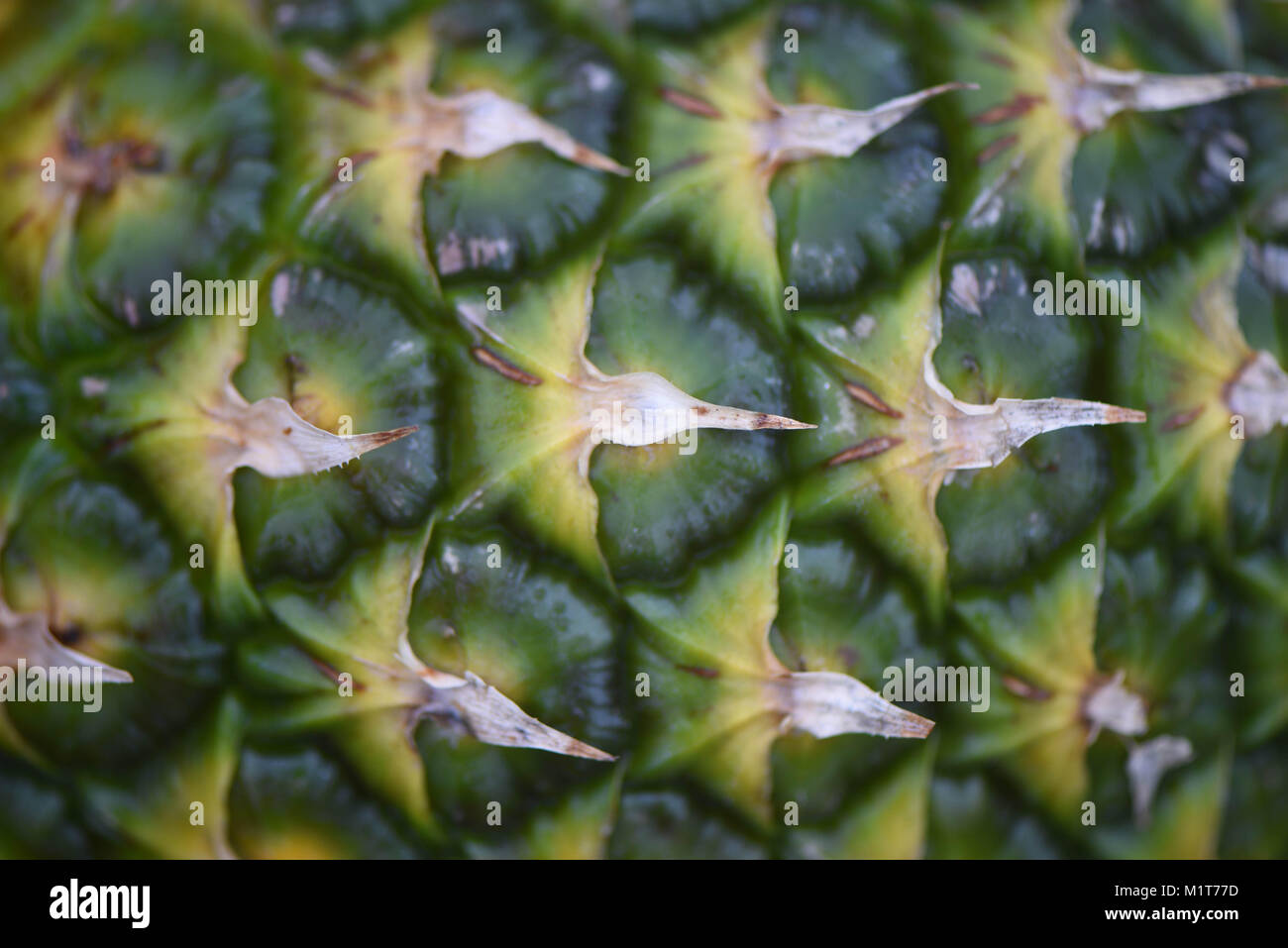 Fresh pineapple image hi-res stock photography and images - Alamy