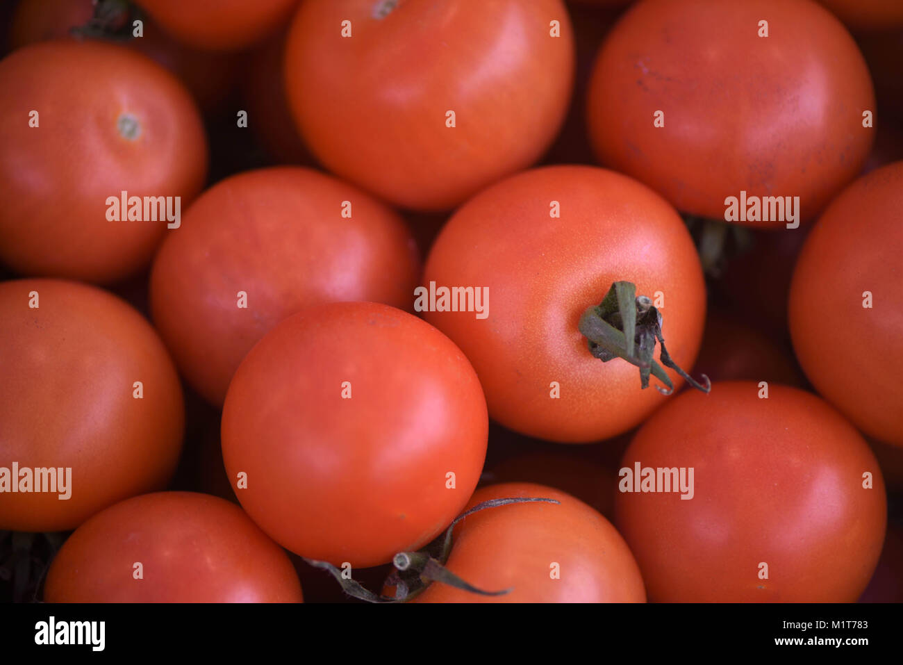 close up food of some red fruit tomatoes that are fresh whole healthy ...