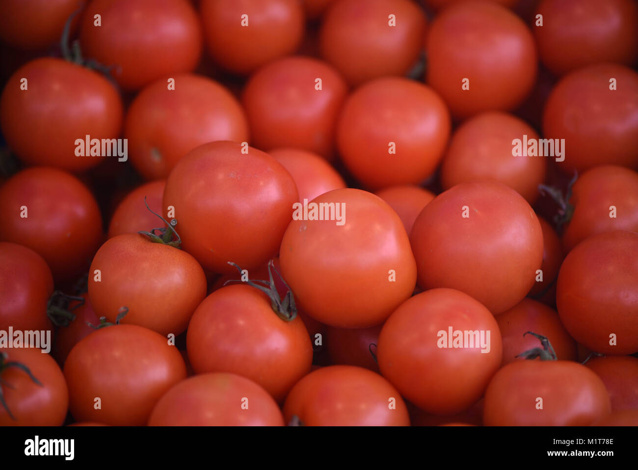close up food of some red fruit tomatoes that are fresh whole healthy ...