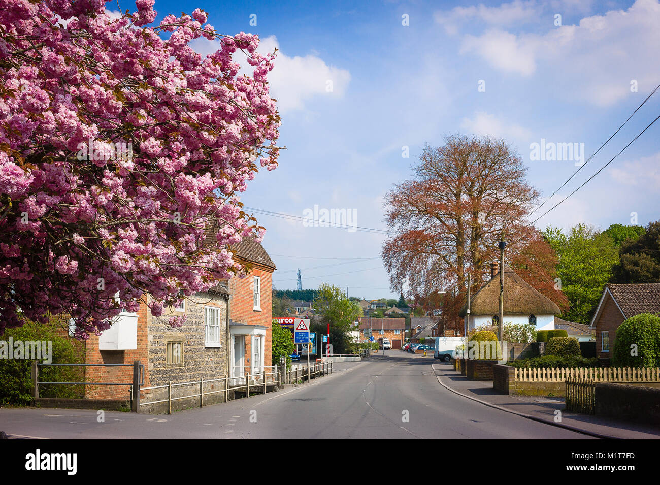 Tilshead village hi-res stock photography and images - Alamy