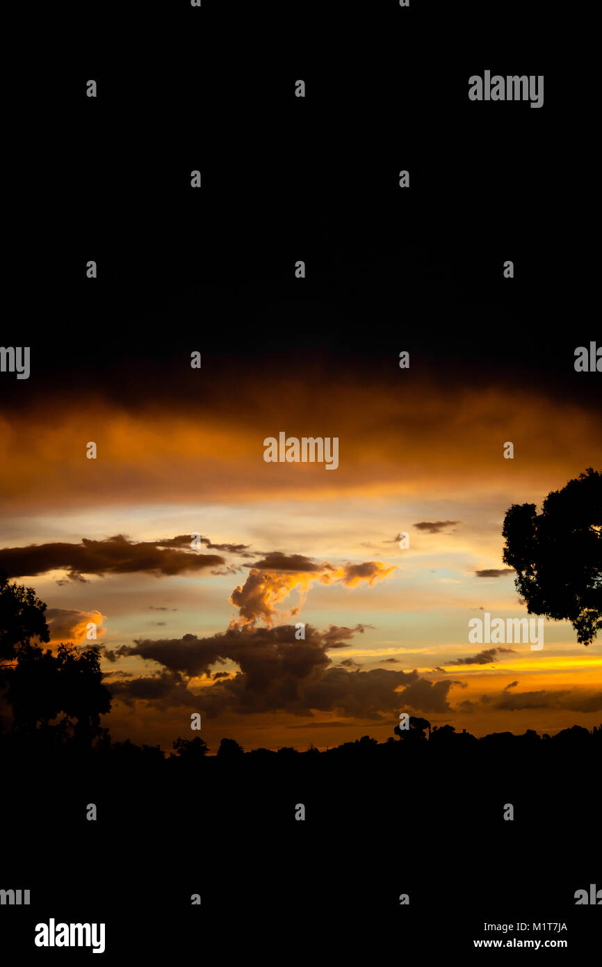 Yellow sunset with clouds and trees Stock Photo - Alamy