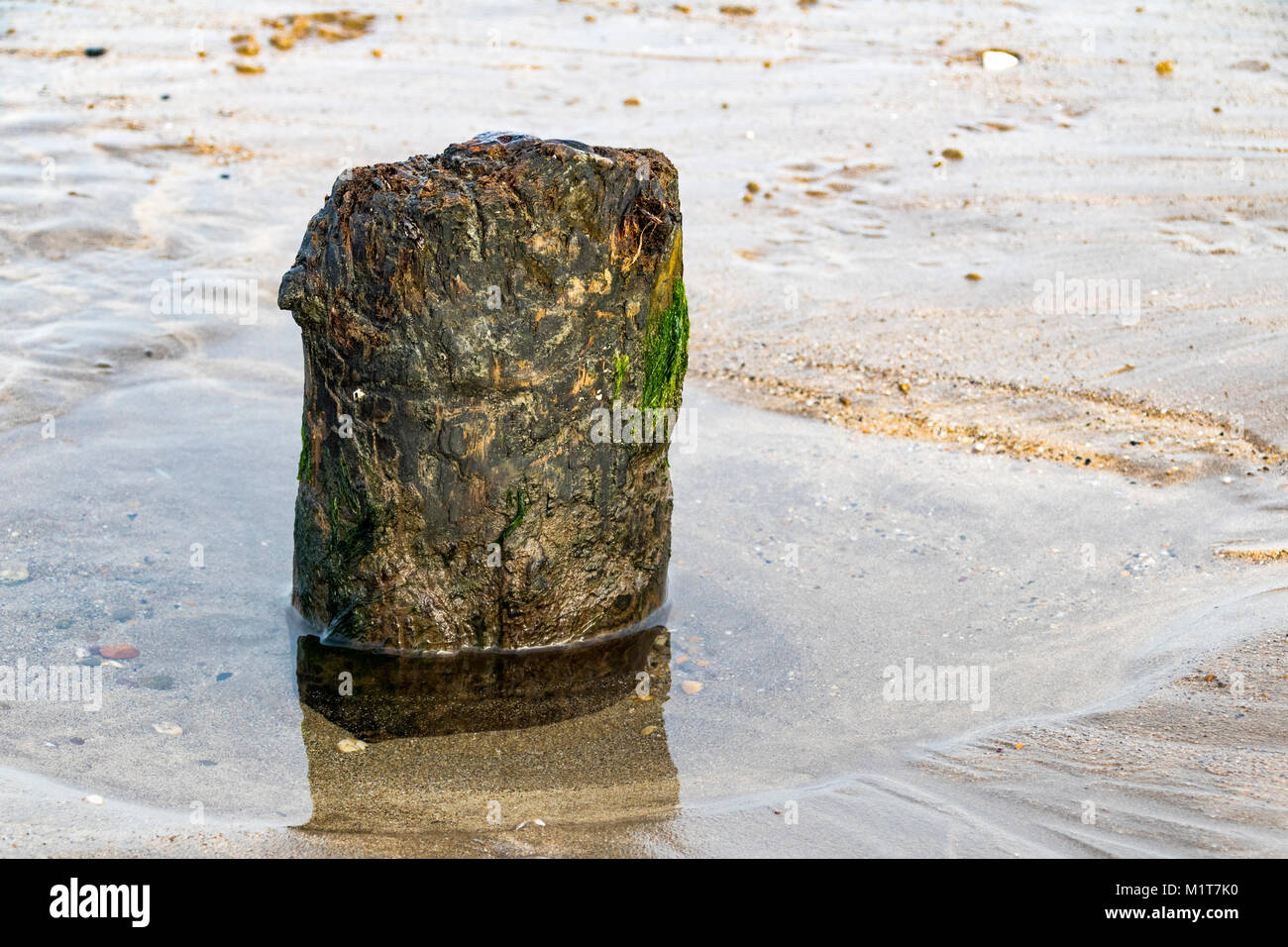 Submerged timber hi-res stock photography and images - Alamy