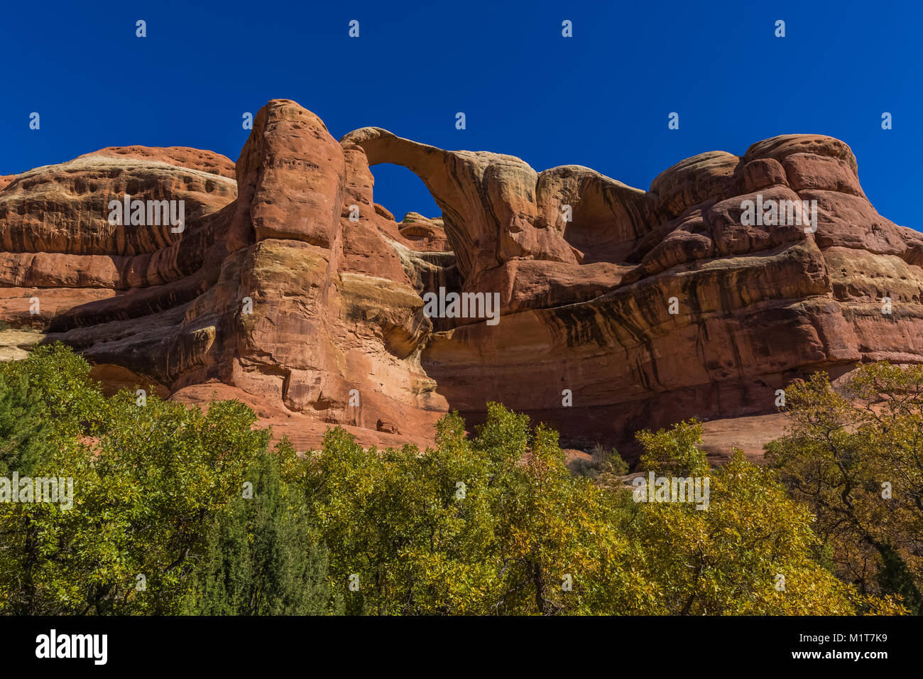 Wedding Ring Arch within Salt Creek Canyon in The Needles District of ...