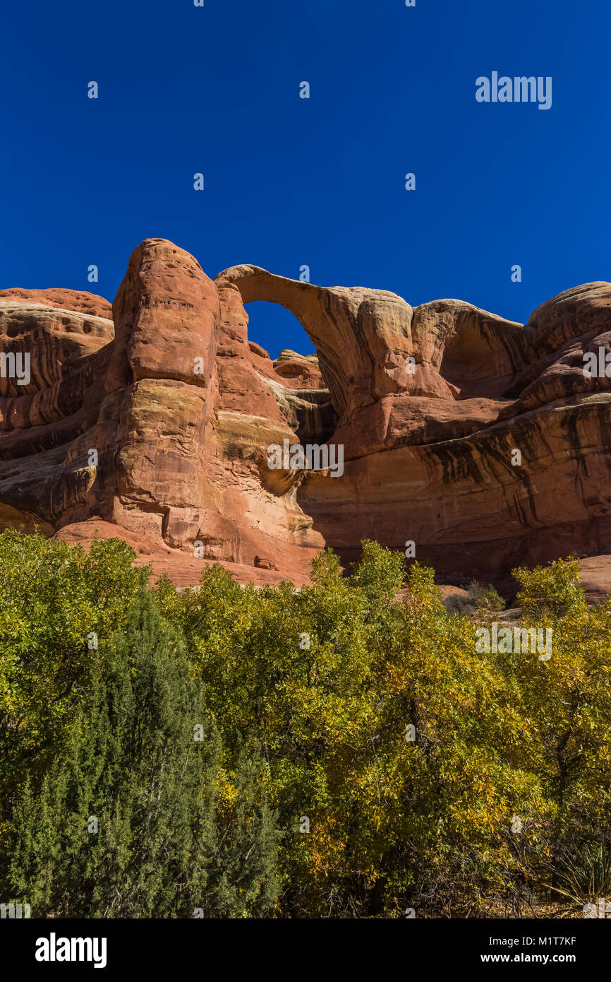Wedding Ring Arch within Salt Creek Canyon in The Needles District of ...