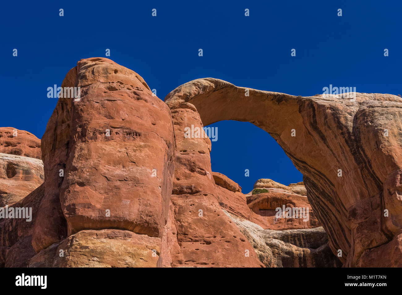 Wedding Ring Arch within Salt Creek Canyon in The Needles District of ...