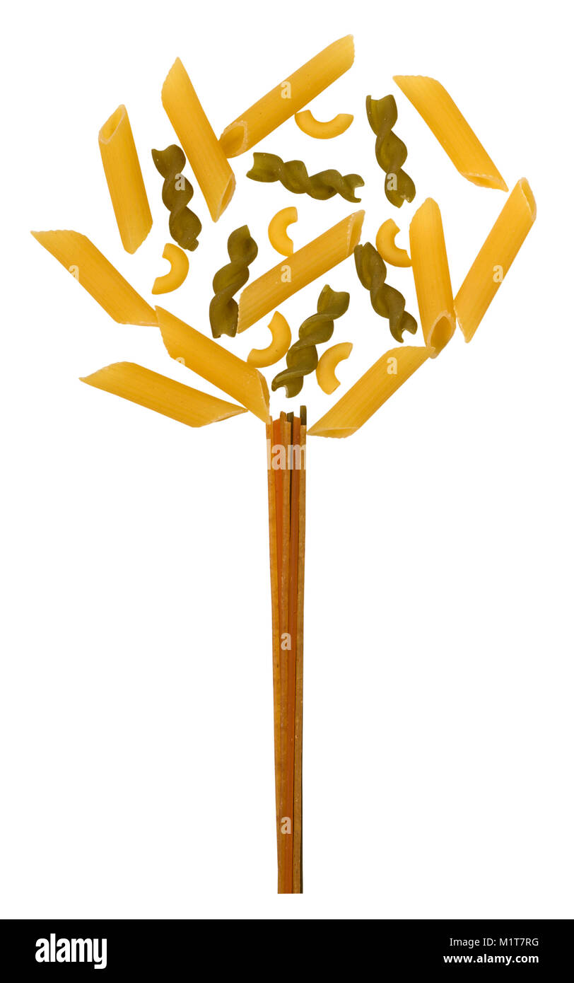 Various tree types hi-res stock photography and images - Alamy
