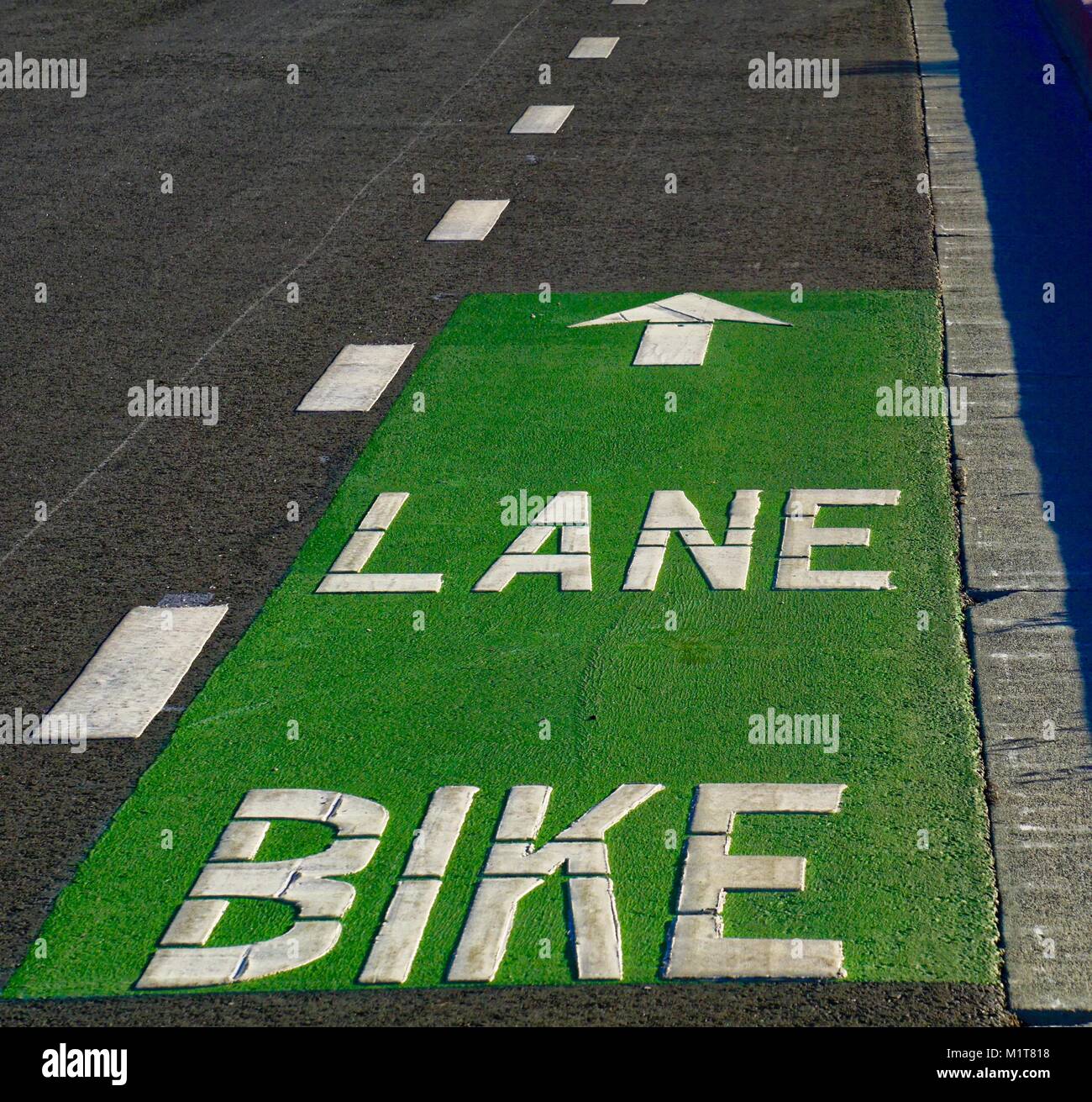 close up of dedicated bike lane Stock Photo - Alamy