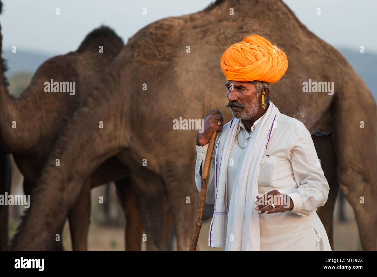 Pushkar Rajasthan India Pushkar Fair Man High Resolution Stock ...