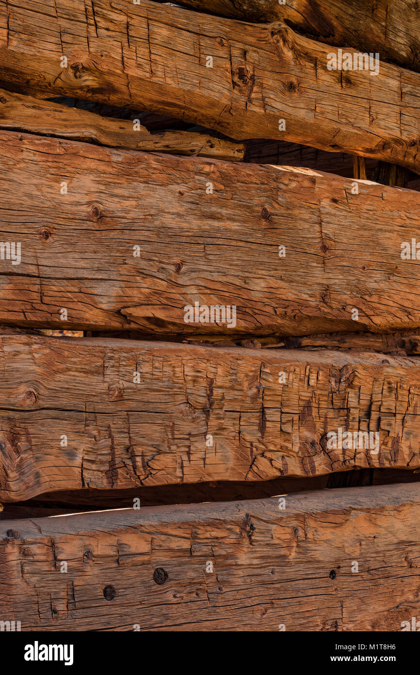 Adze marks on the squared timbers of Kirk's Cabin within Salt Creek ...